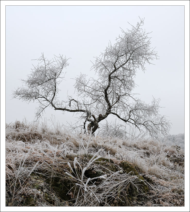 Eiseskälte liegt über dem Zen-Li Foto & Bild | emotionen, melancholie ...