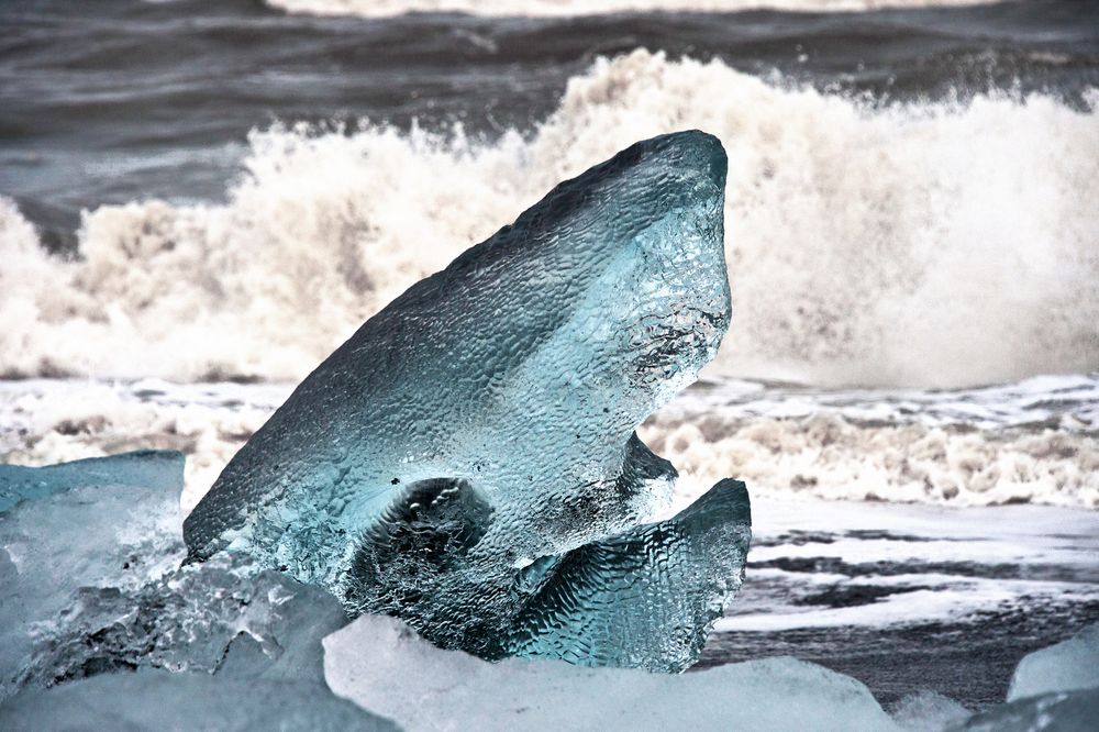 Eishai Foto & Bild | europe, scandinavia, iceland Bilder auf fotocommunity