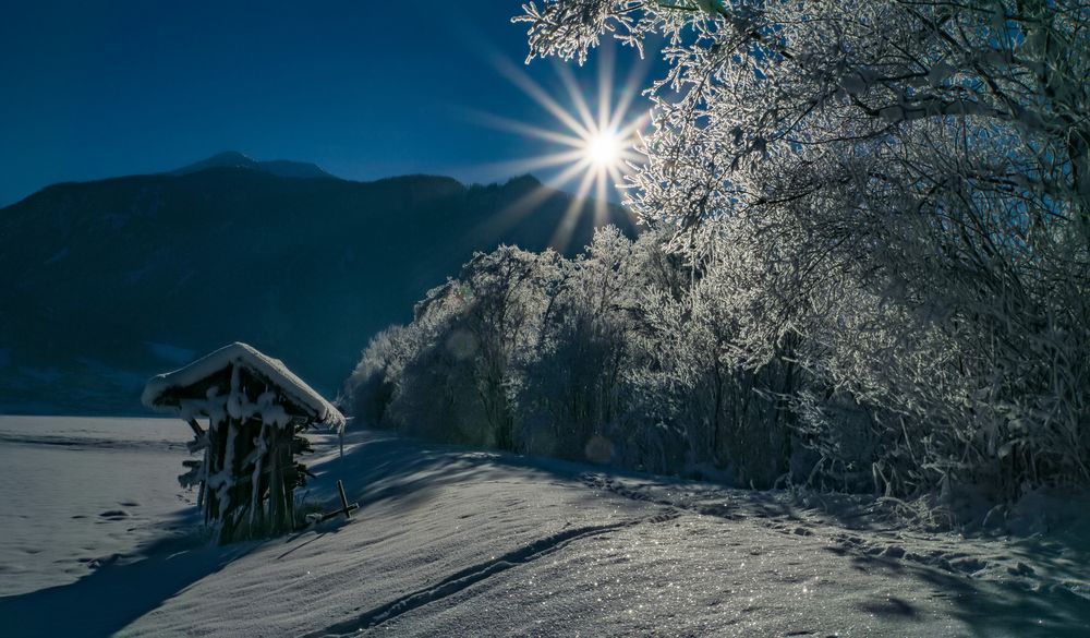 Eisig kalt... Foto & Bild | landschaft, jahreszeiten, winter Bilder auf ...