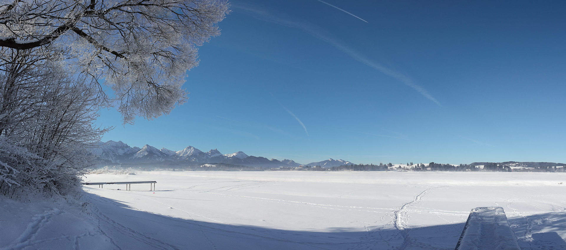 ~ Eisiger Forggensee ~ Foto & Bild | world, bäume, winter Bilder auf ...