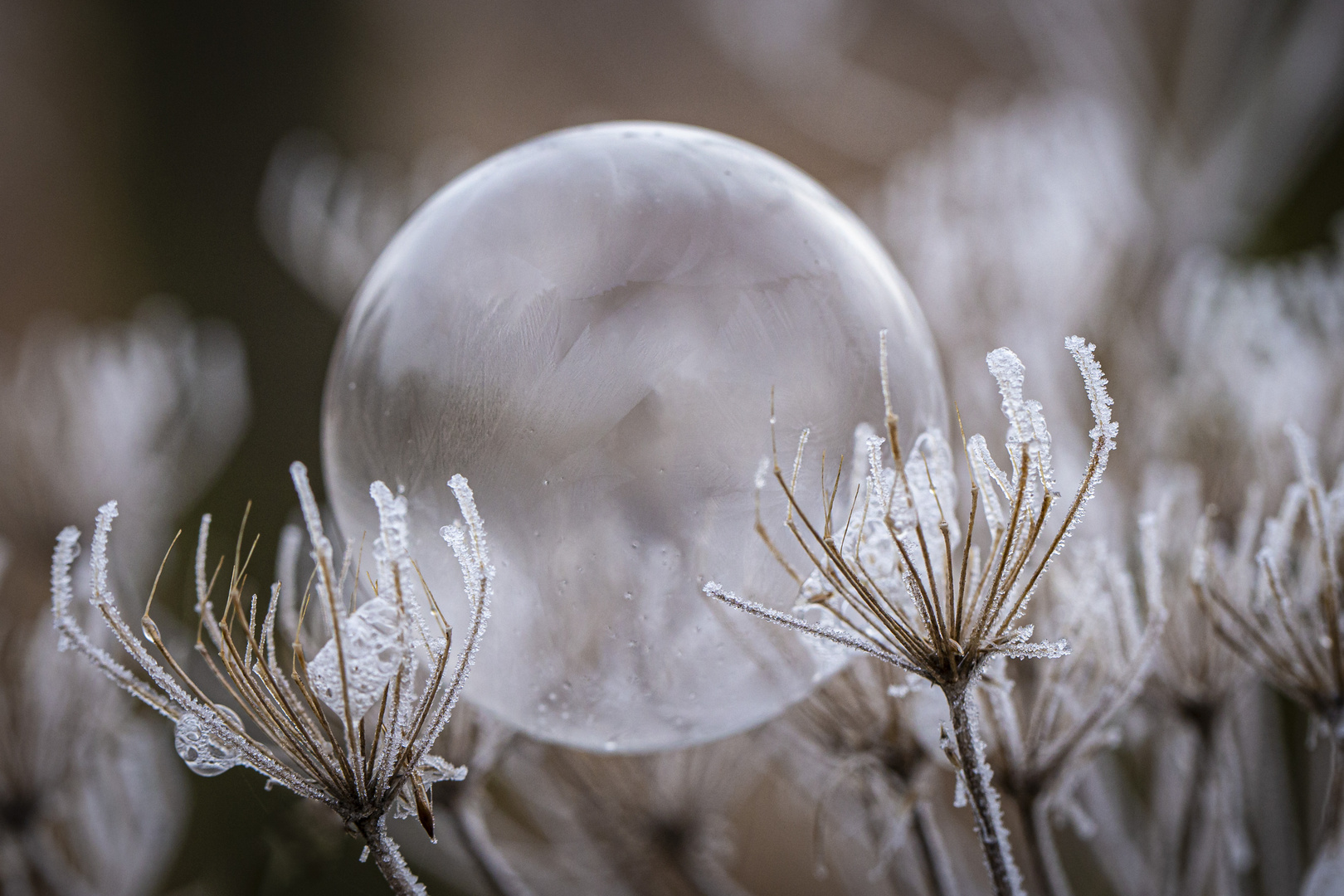 Eiskalt Foto & Bild | jahreszeiten, winter, landschaft Bilder auf fotocommunity