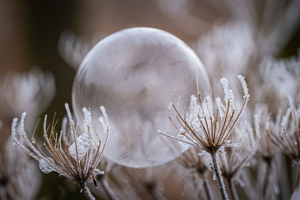Eiskalt Foto & Bild | jahreszeiten, winter, landschaft Bilder auf fotocommunity