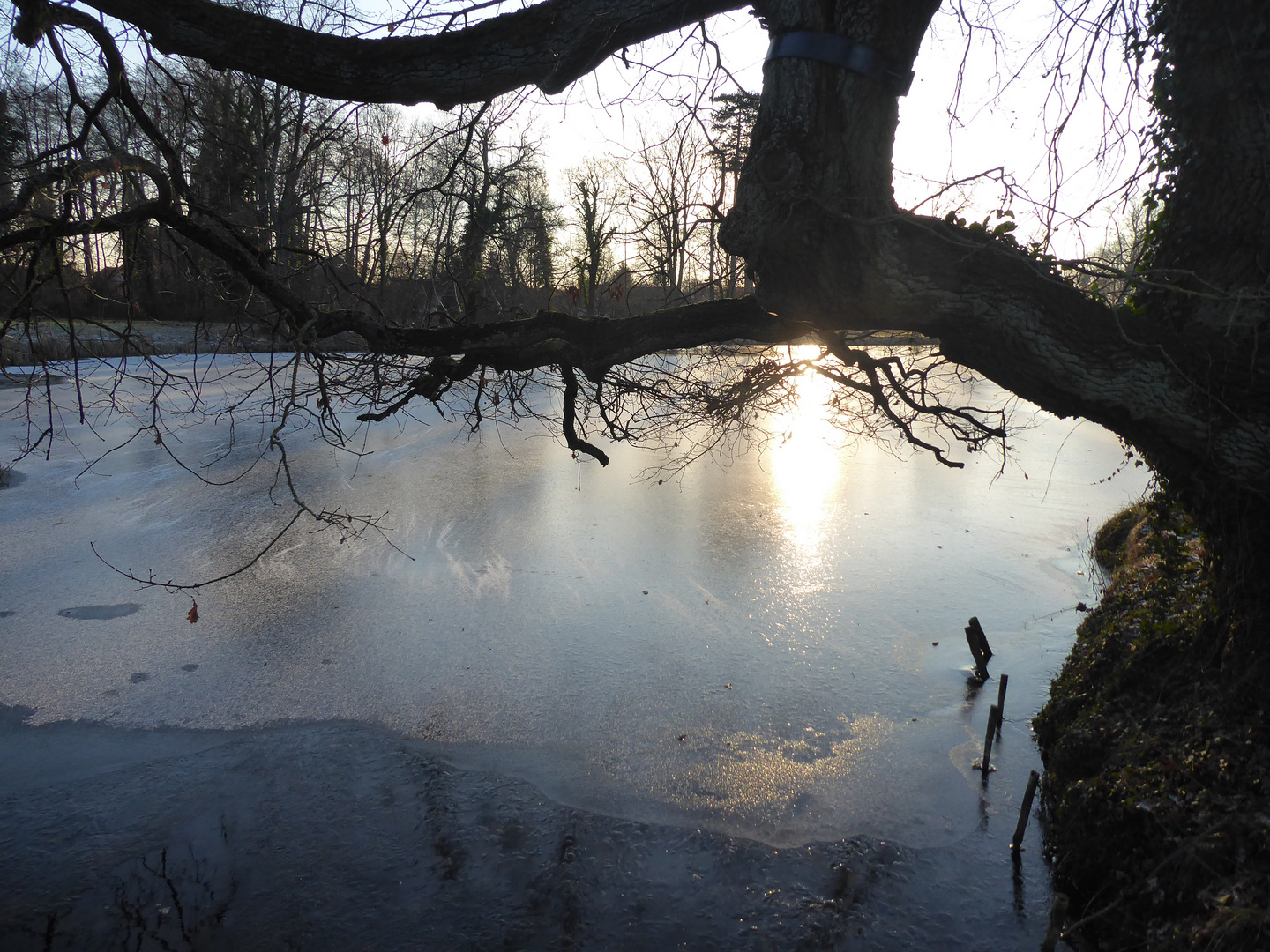Eiskalt Foto & Bild | landschaft, jahreszeiten, winter Bilder auf ...