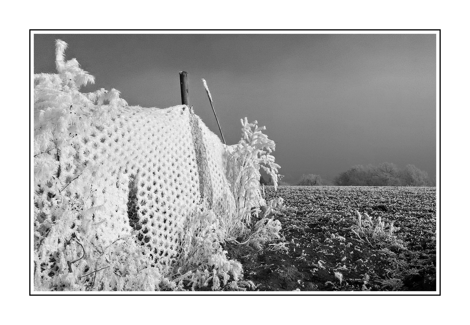 Eiskalt Foto & Bild | winter, zaun, natur Bilder auf fotocommunity