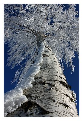 Hempel Peter - Fotos & Bilder - Fotograf aus Glauchau/ Niederlungwitz ...