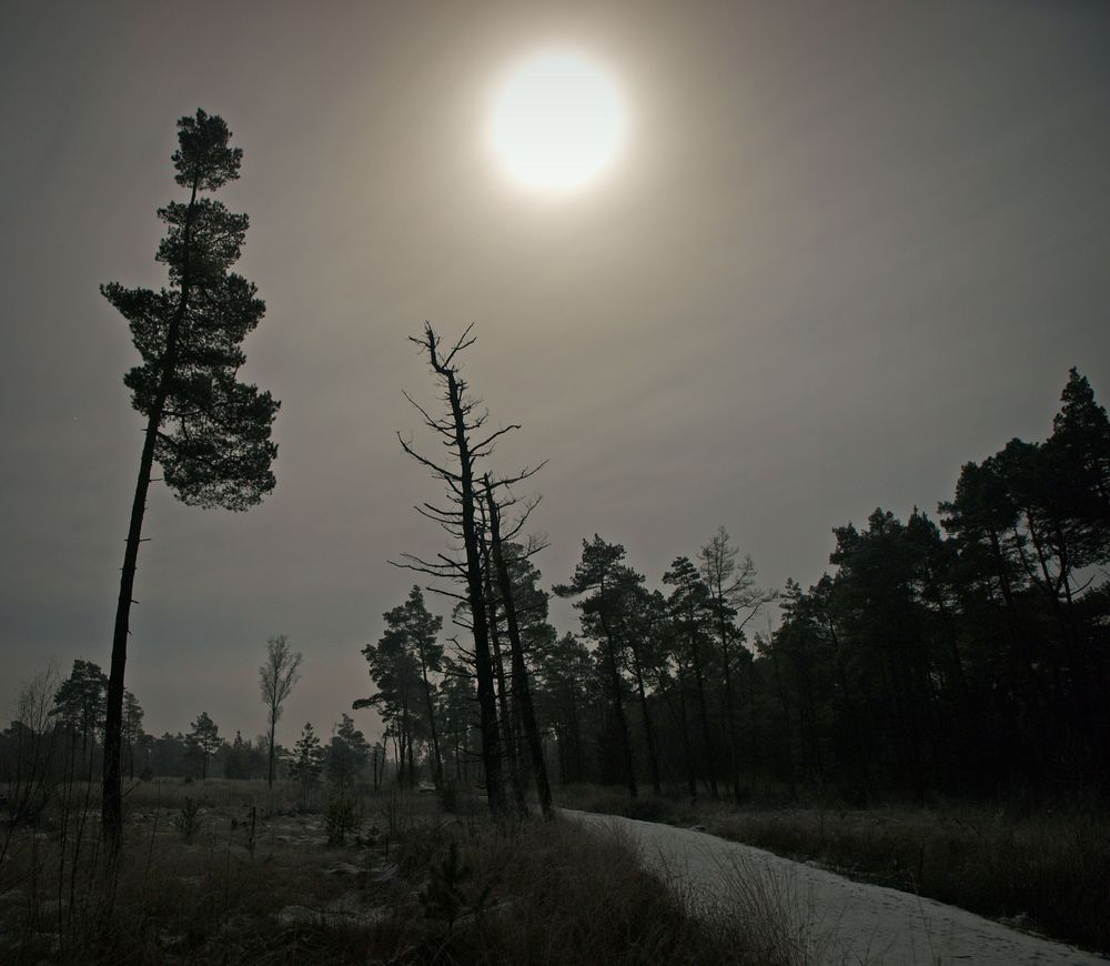 Eiskalt Foto & Bild | nacht, natur, landschaft Bilder auf fotocommunity