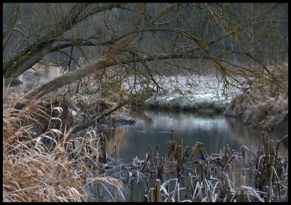 Eiskalt Foto & Bild | jahreszeiten, winter, landschaft Bilder auf fotocommunity
