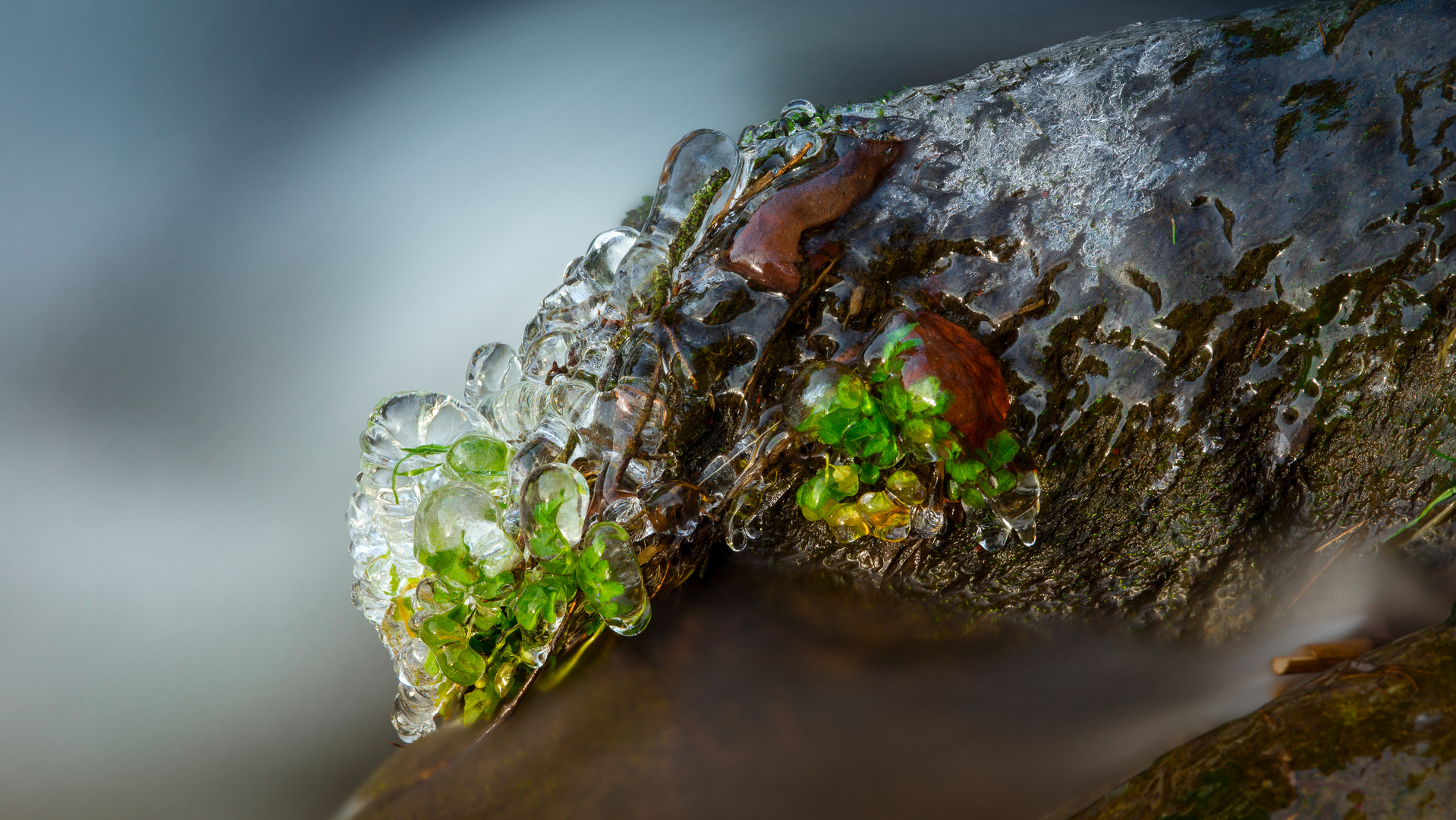 eiskalt Foto & Bild | wasser, eis, natur Bilder auf fotocommunity