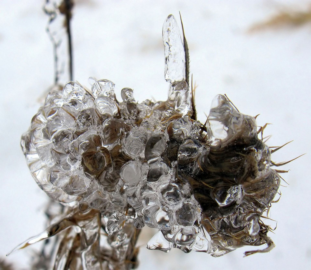 Eiskalt Foto & Bild | februar, winter, eis Bilder auf fotocommunity