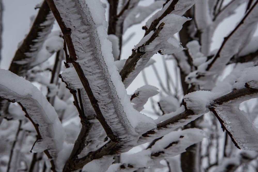 Eiskalt Foto & Bild | jahreszeiten, winter, natur Bilder auf fotocommunity