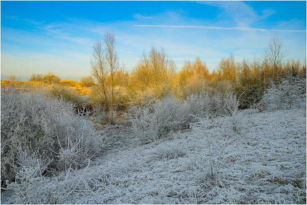 Eiskalt.... Foto & Bild | jahreszeiten, winter, licht Bilder auf fotocommunity