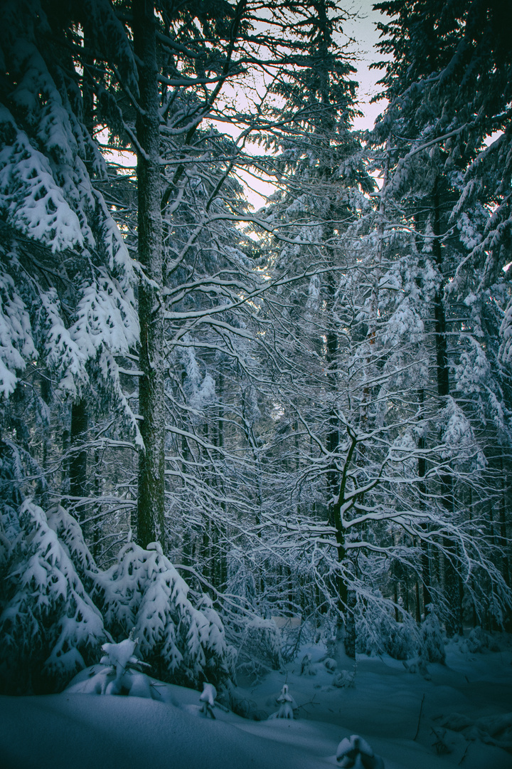 Eiskalt!!!! Foto & Bild | landschaft, jahreszeiten, winter Bilder auf fotocommunity