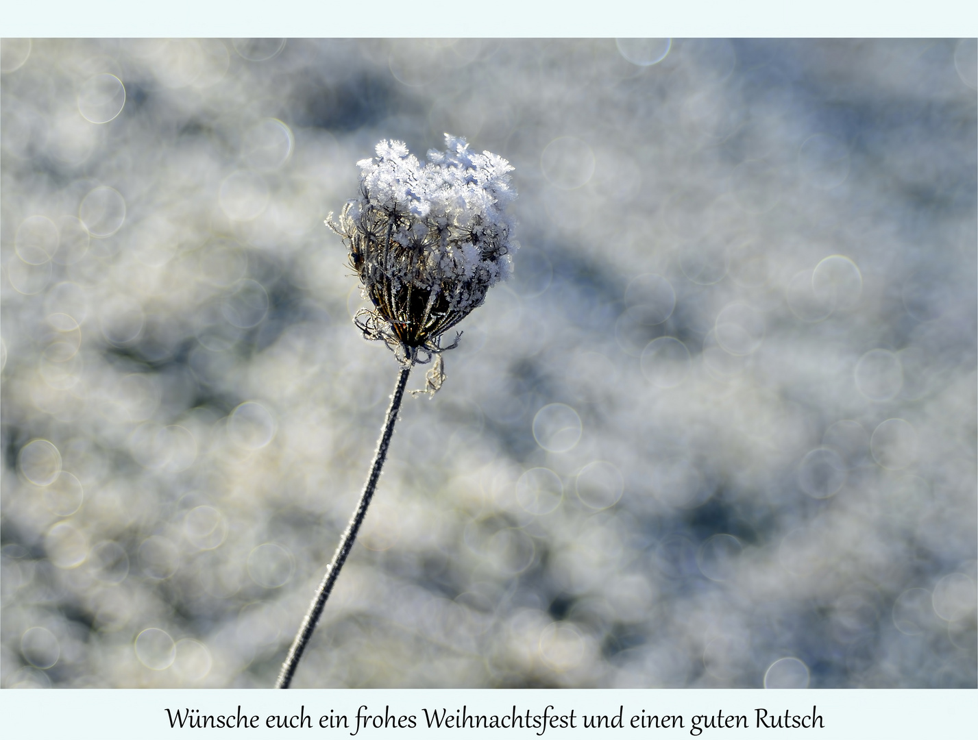 °Eiskalt° Foto & Bild | fotos, winter, natur Bilder auf fotocommunity