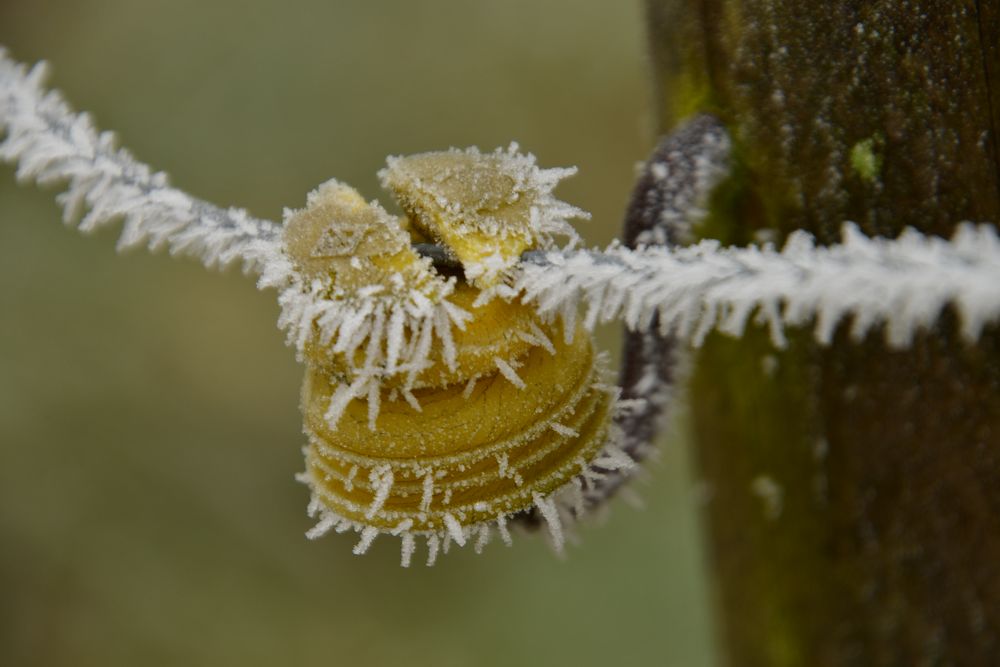 Eiskalt isoliert Foto & Bild | sonstiges, natur und technik, allerlei ...