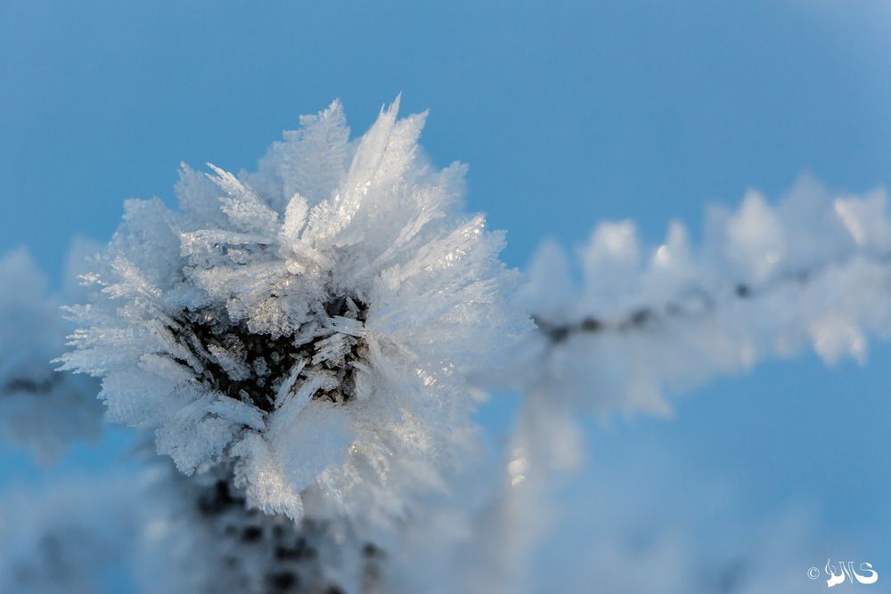 Eiskristalle Foto & Bild | jahreszeiten, winter, gefroren Bilder auf fotocommunity