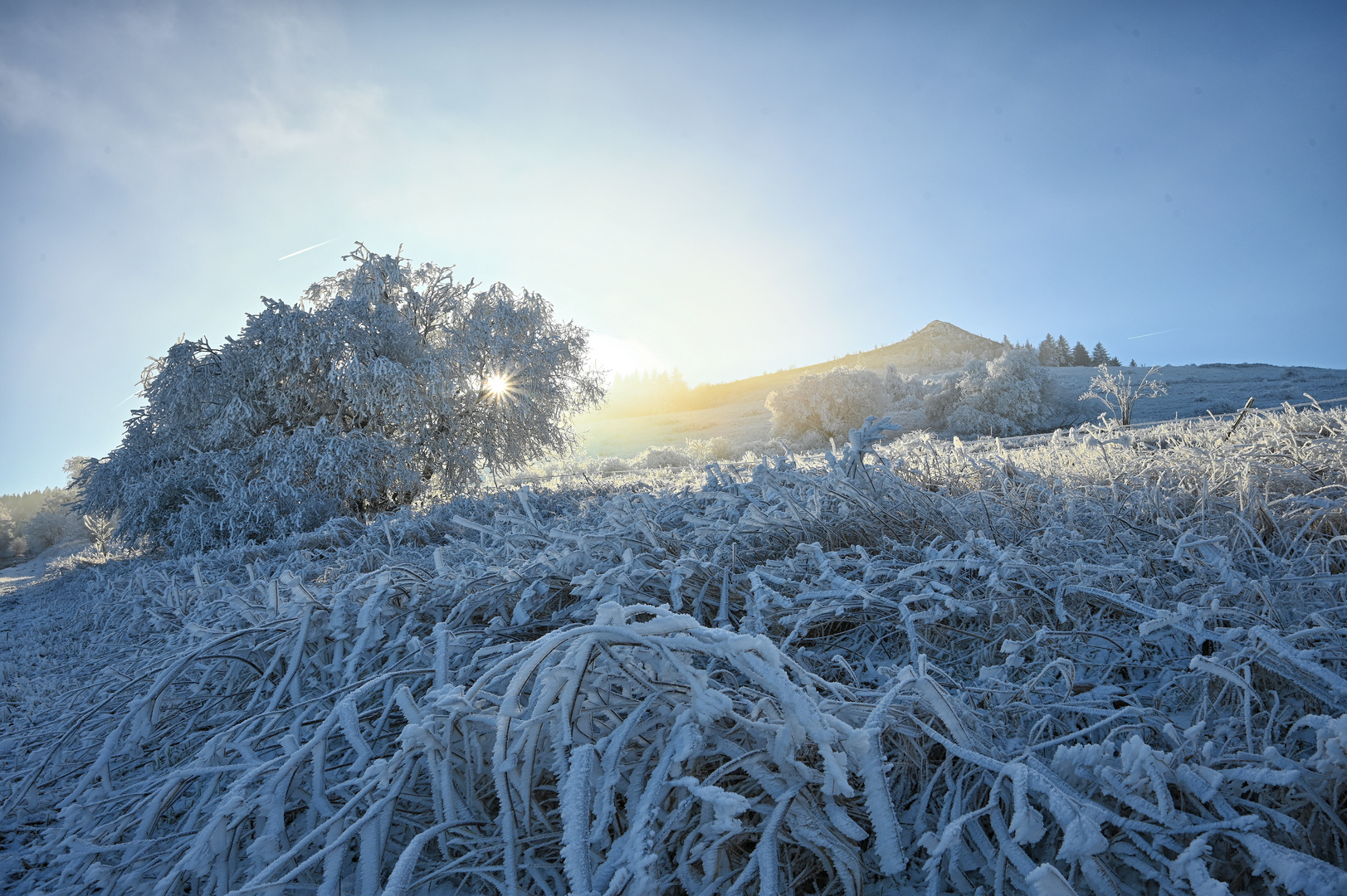 Eiszeit... Foto & Bild | jahreszeiten, winter, projekte Bilder auf fotocommunity