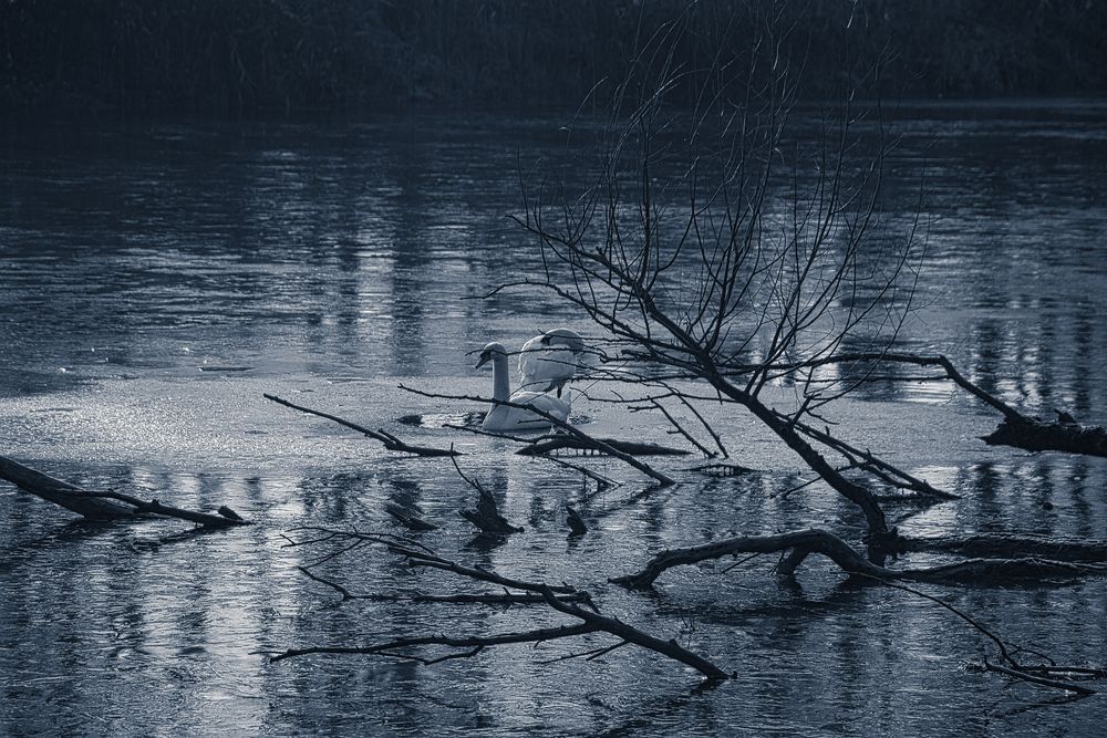 EISZEIT Foto & Bild | jahreszeiten, januar, winter Bilder auf fotocommunity