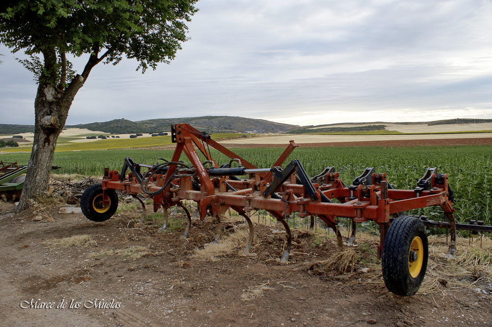 ...el arado... Imagen & Foto | paisajes, campo, naturaleza Fotos de ...