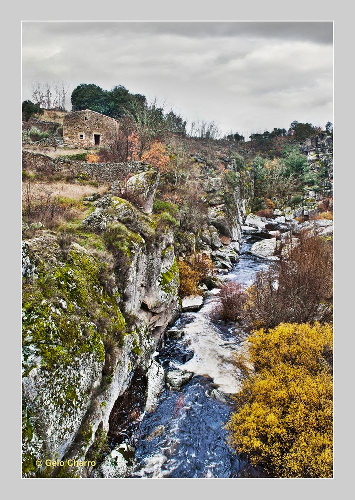 El cauce Imagen & Foto | naturaleza diversa , naturaleza y paisaje ...