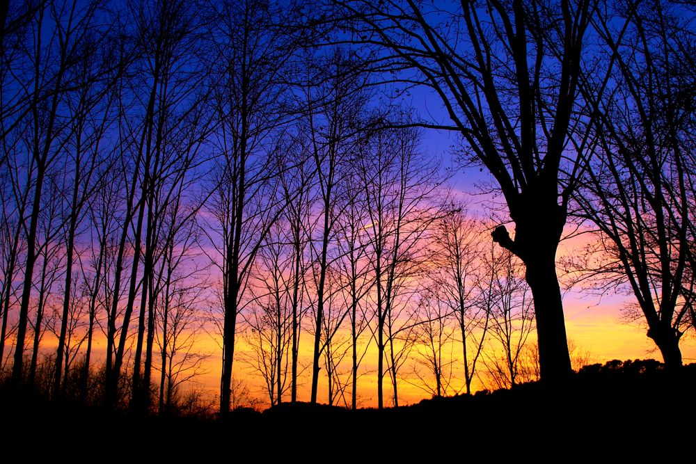 El color del atardecer Imagen & Foto | paisajes, atardeceres y ...