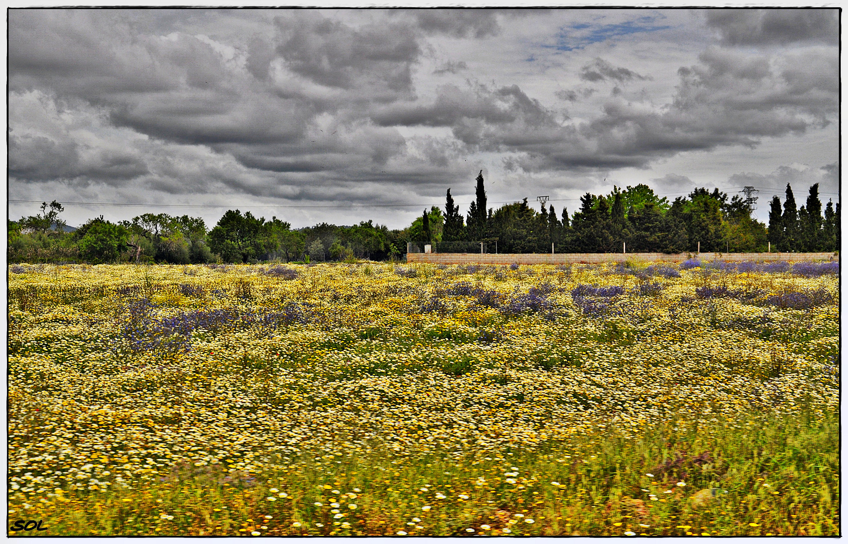 El color del día Imagen & Foto | paisajes, naturaleza Fotos de ...