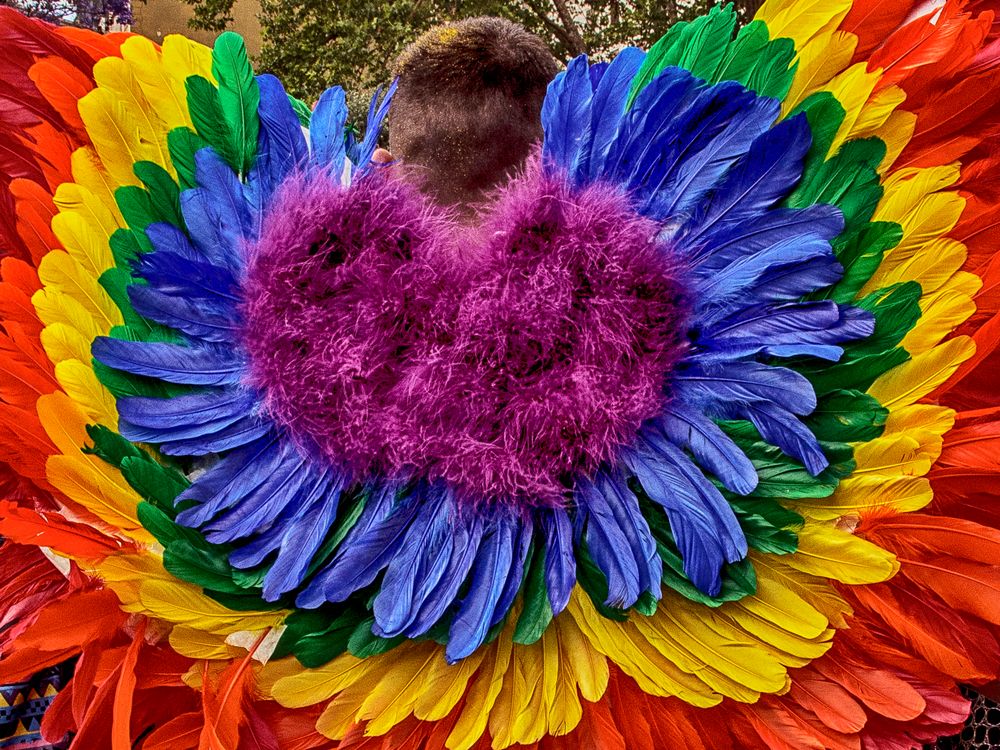 El color es diversidad.... Imagen & Foto | fotos, fotografía, motive ...