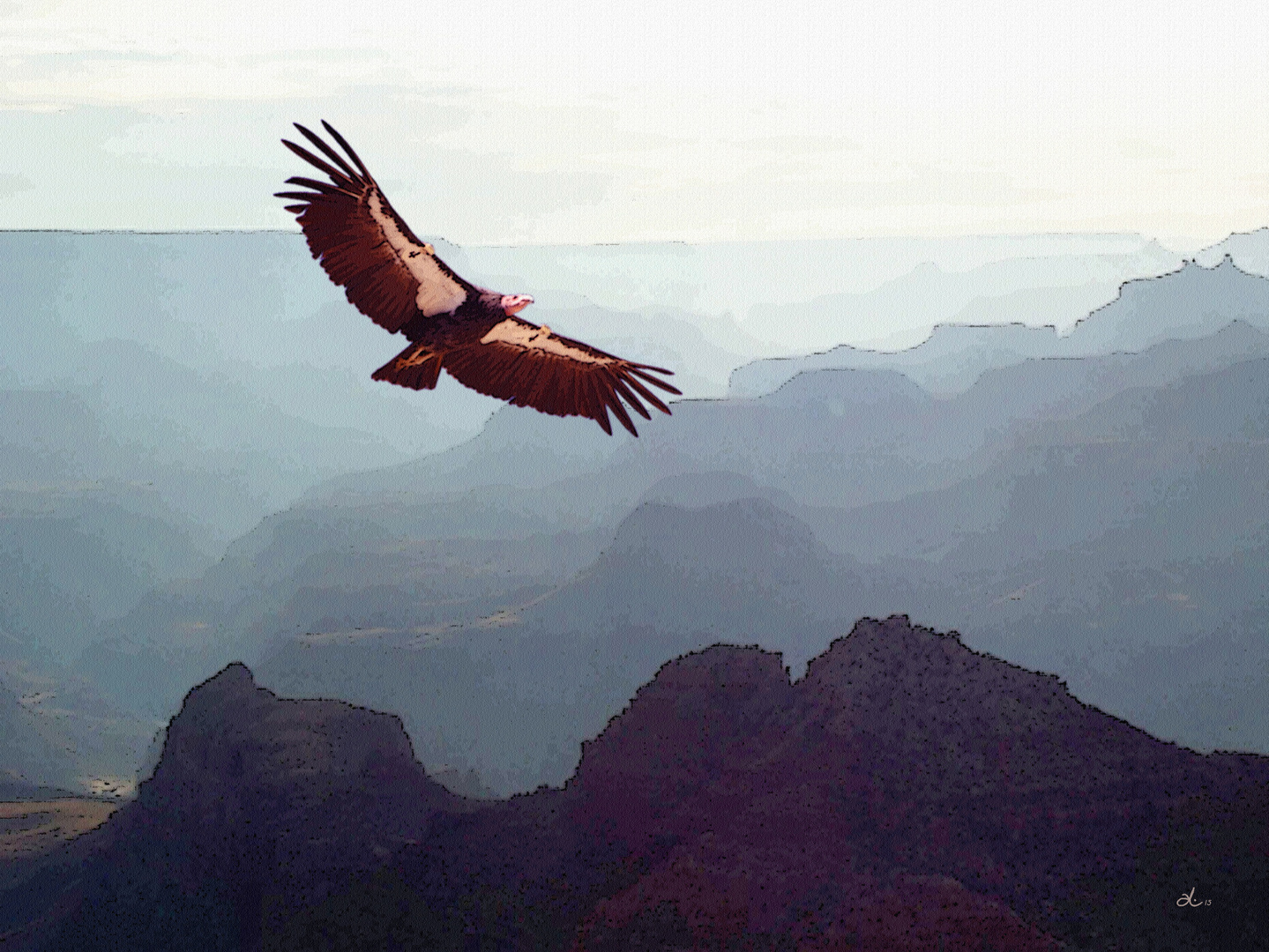 El Cóndor Pasa … Foto & Bild | tiere, wildlife, wild lebende vögel ...