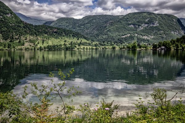 Estaciones del año Imágenes y fotos