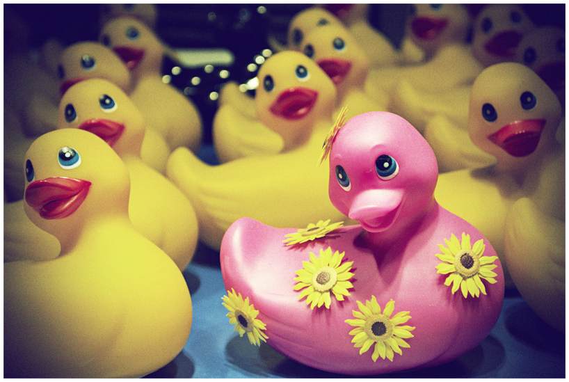 El patito rosa y sus complices Imagen & Foto | street art, especial ...