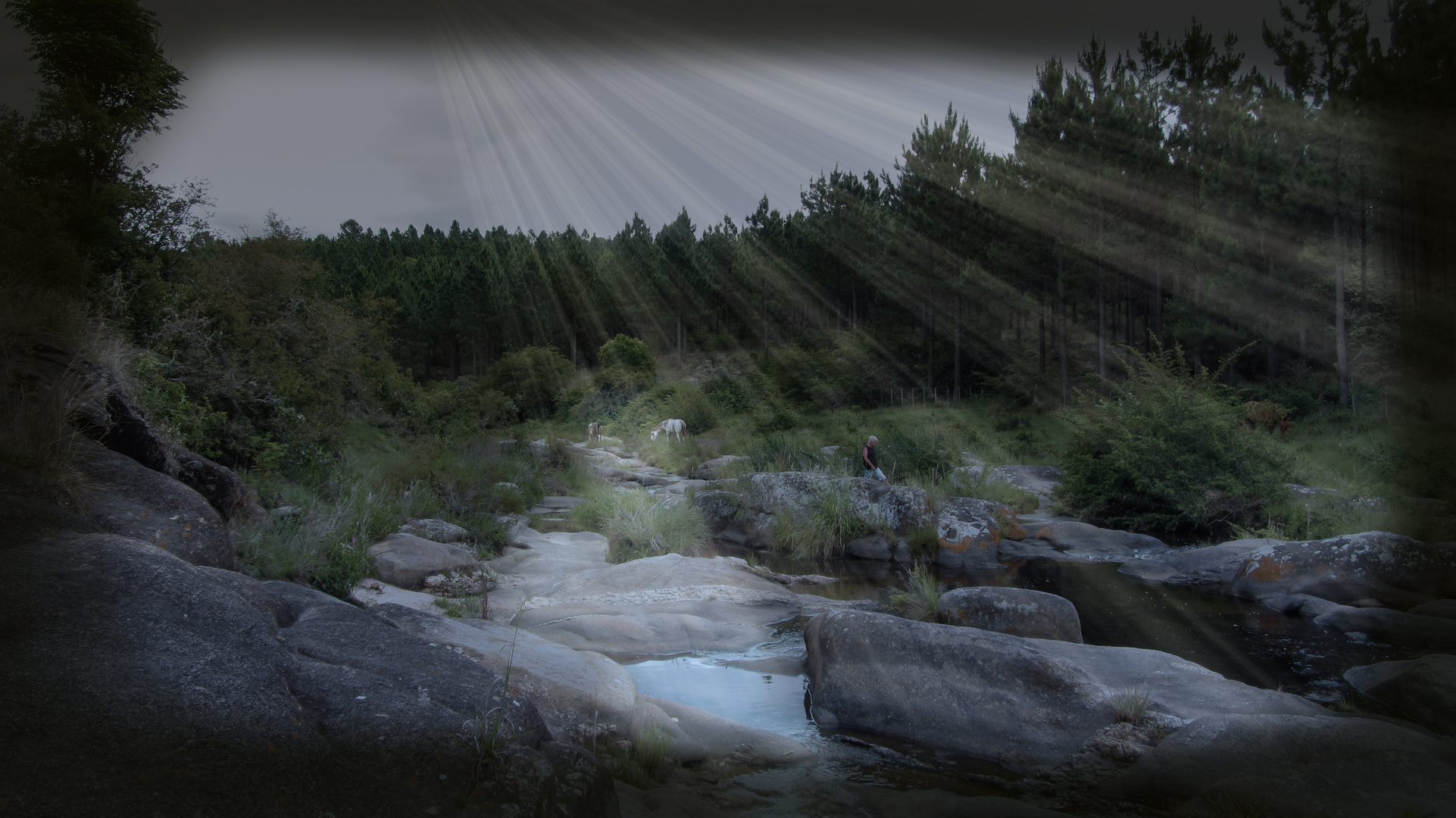 El prado Imagen & Foto | fotos, argentina, prado Fotos de fotocommunity