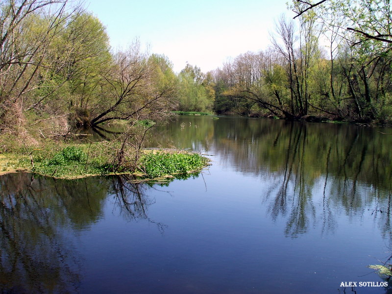 EL RÍO TER Imagen & Foto | paisajes, ríos y cascadas, naturaleza Fotos ...