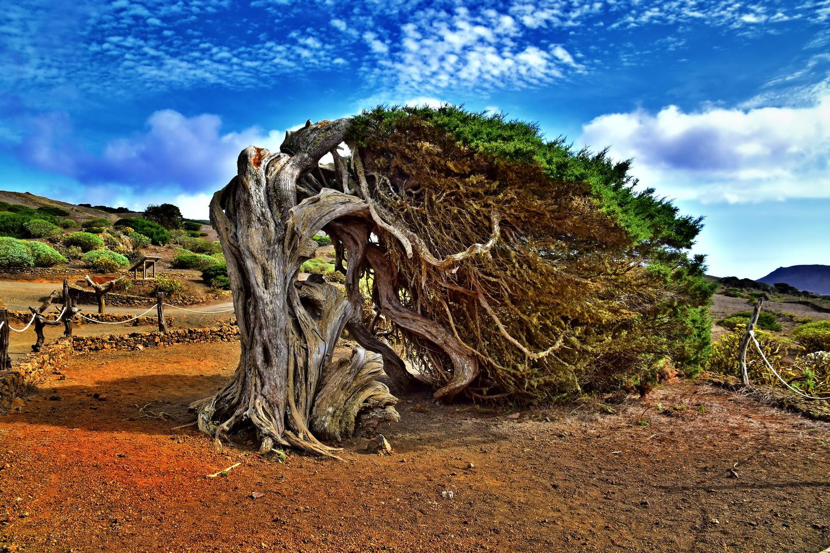El Sabinar Foto & Bild | landschaft, 07.09.2019, natur Bilder auf ...