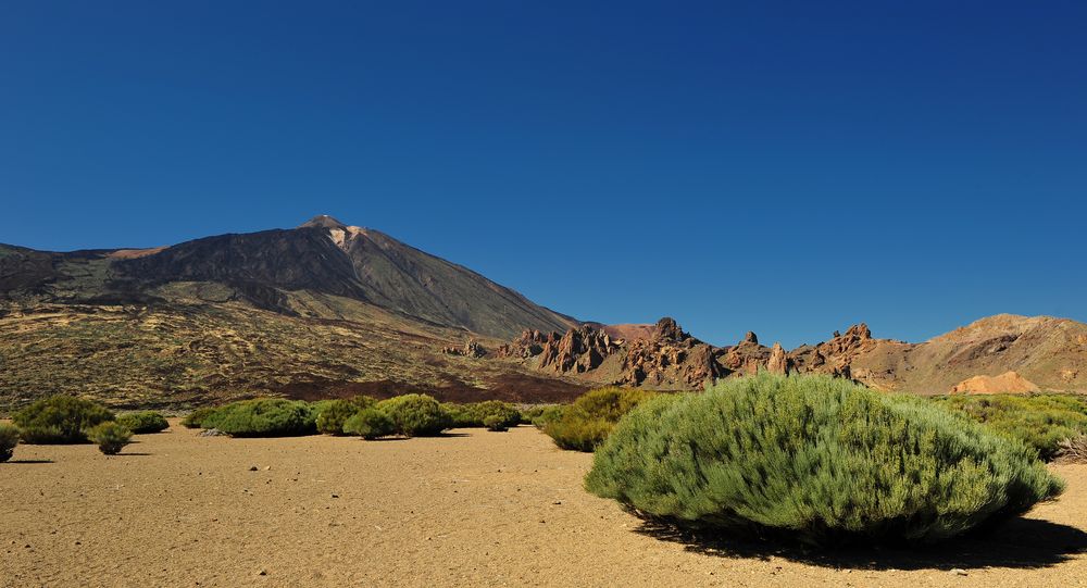 El Teide und Roques de García Foto & Bild | europe, canary islands die ...