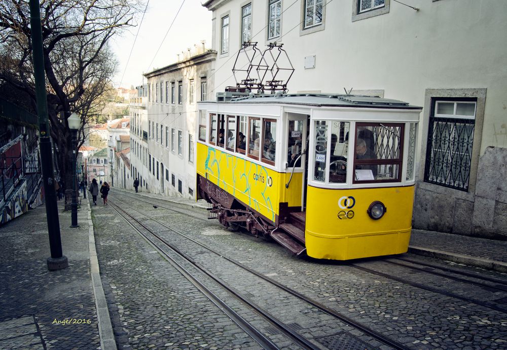 El tranvia Imagen & Foto | lisboa, city, color Fotos de fotocommunity