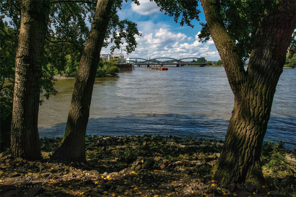 Elbblick (11) Foto & Bild | hamburg, himmel, natur Bilder auf fotocommunity