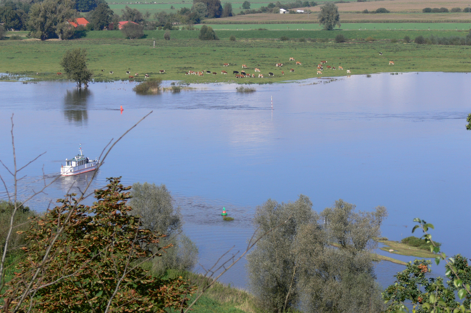 Elbfähre Hitzacker (Elbe) - Bitter (Herrenhof) Foto & Bild | world ...
