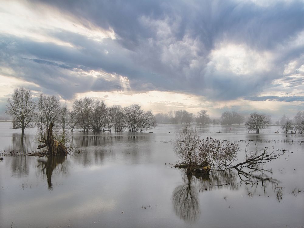 Elbhochwasser 2024 Foto & Bild | natur, landschaft, fluss Bilder auf ...