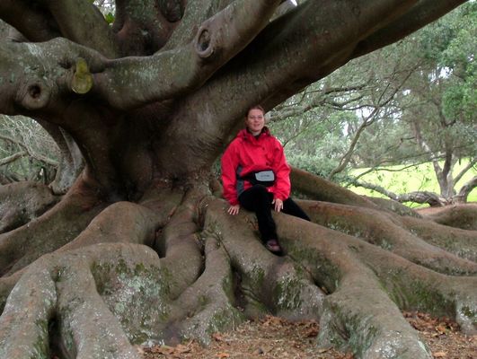 Nicole Wirth - Fotos & Bilder - Fotografin | fotocommunity