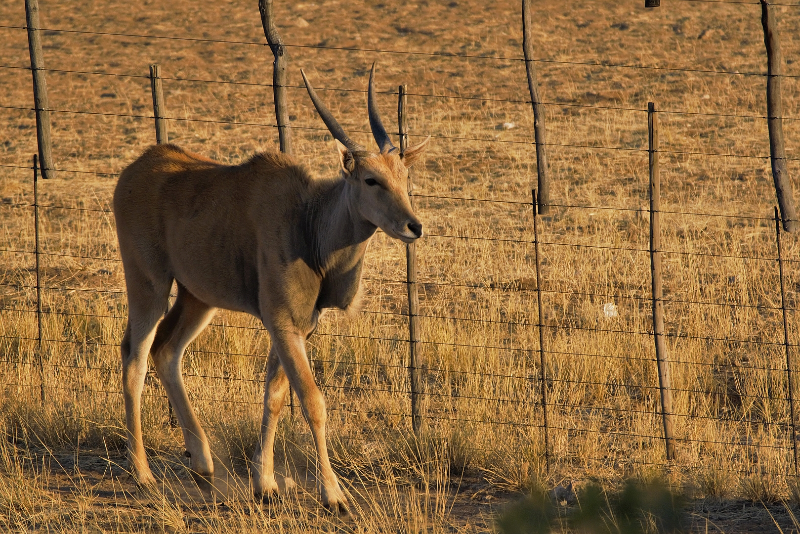 Elfried das Elend Foto & Bild | sonnenaufgang, natur, sunrise Bilder ...