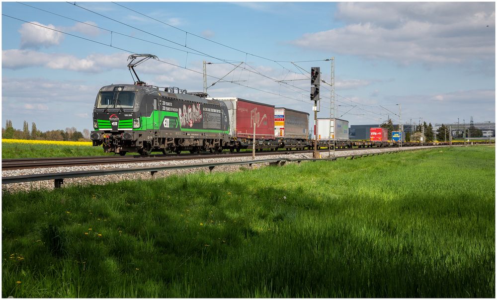 ELL "Born to rail" Foto & Bild | container, eisenbahn, motive Bilder ...