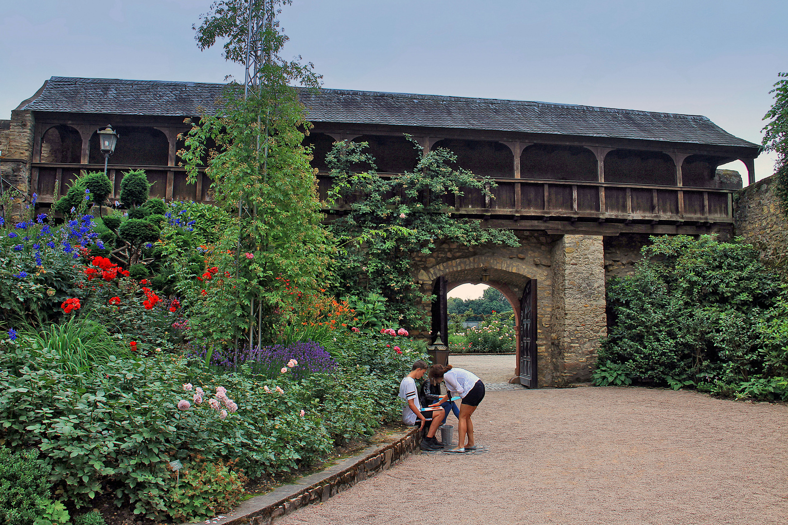 Eltville am Rhein Foto & Bild | world, rhein, hessen Bilder auf ...