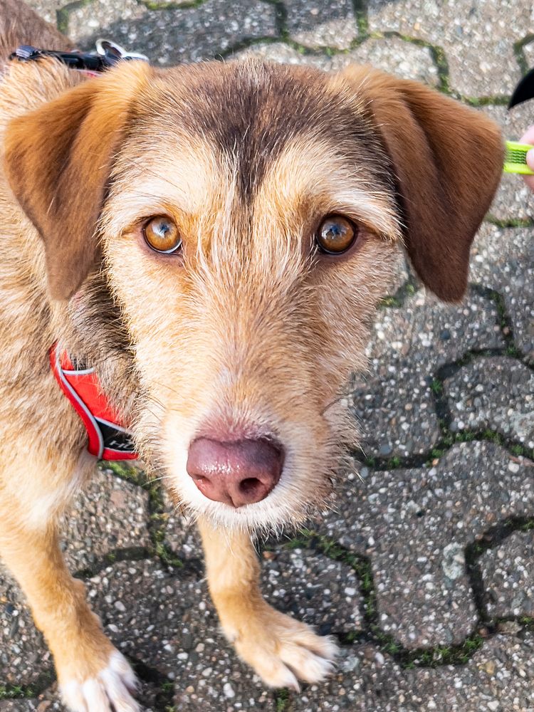 Emma Foto & Bild | erwachsene menschen, tiere, haustiere Bilder auf fotocommunity