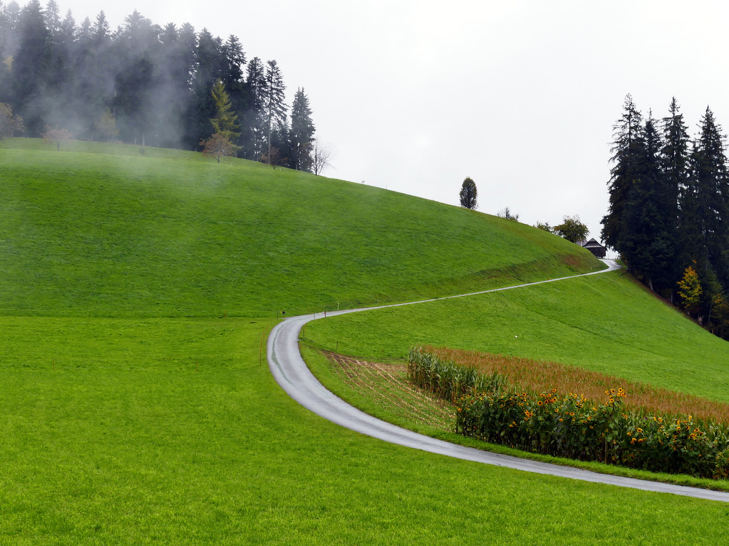Emmental Foto & Bild | landschaft, wege und pfade, berge Bilder auf ...