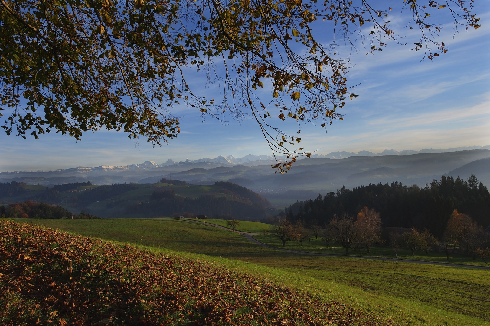 Emmental im Herbst Foto & Bild | landschaft, lebensräume, sparkling ...