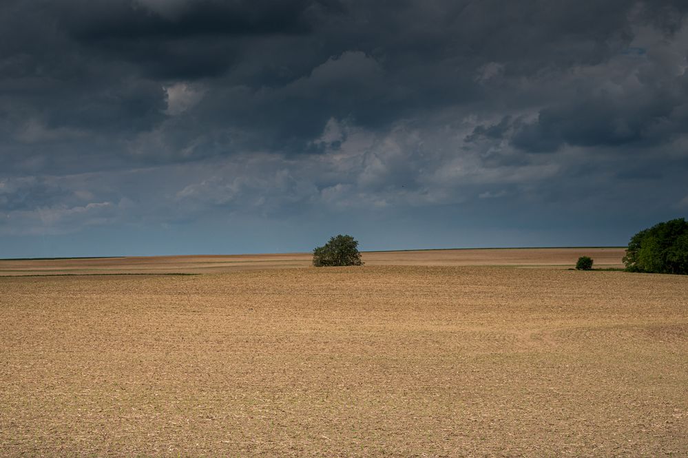 Empty Fields Foto & Bild | deutschland, europe, mecklenburg- vorpommern ...