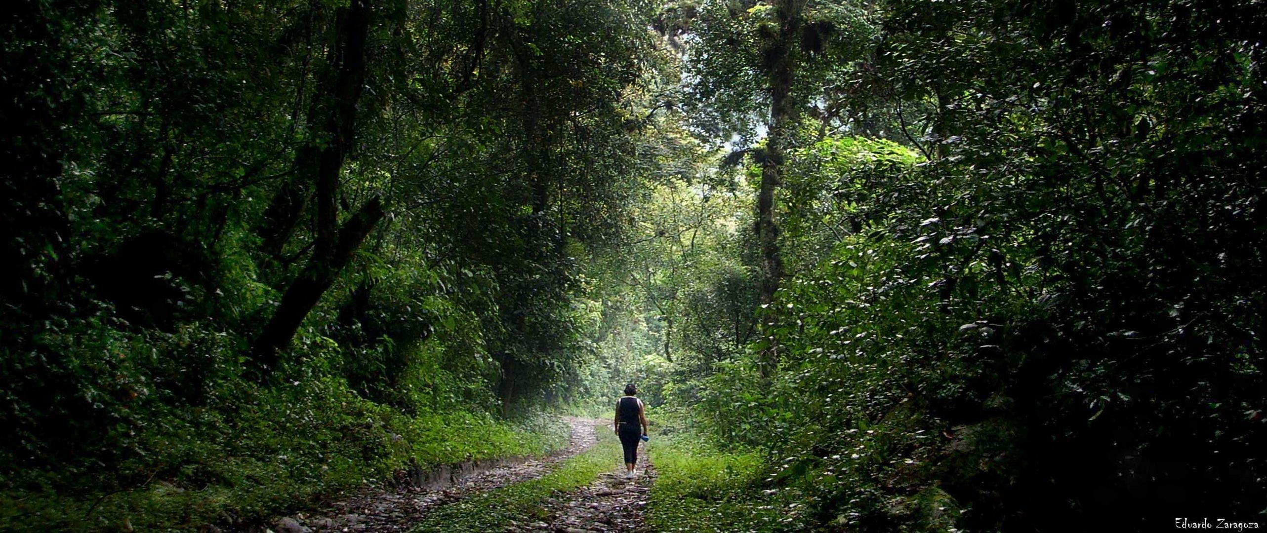 En el sendero correcto.... Imagen & Foto | naturaleza diversa , sierra ...