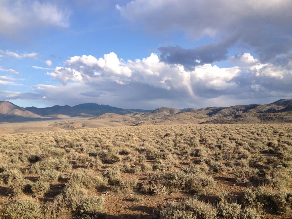 en medio de la nada Imagen & Foto | paisajes, desierto , naturaleza ...