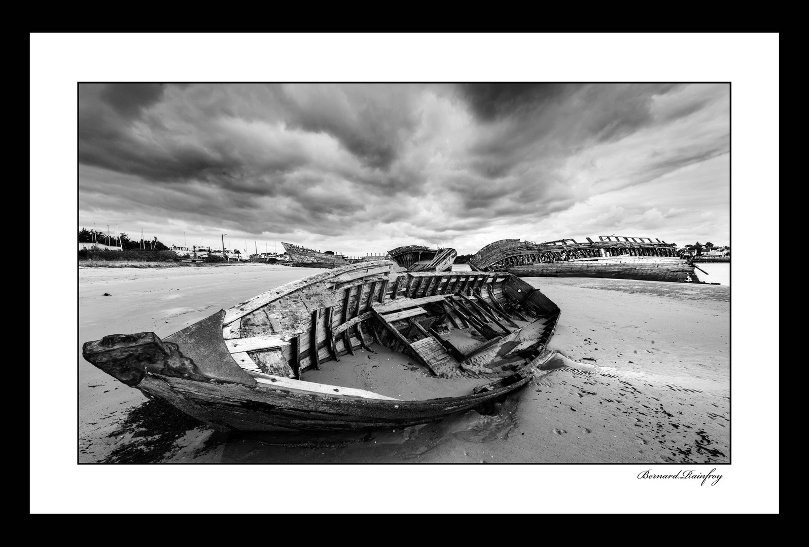 en rade photo et image | portraits sauvages, bernard, nature Images ...