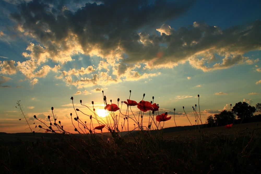 Ende August Foto & Bild | sonnenaufgang, wolken, natur Bilder auf ...