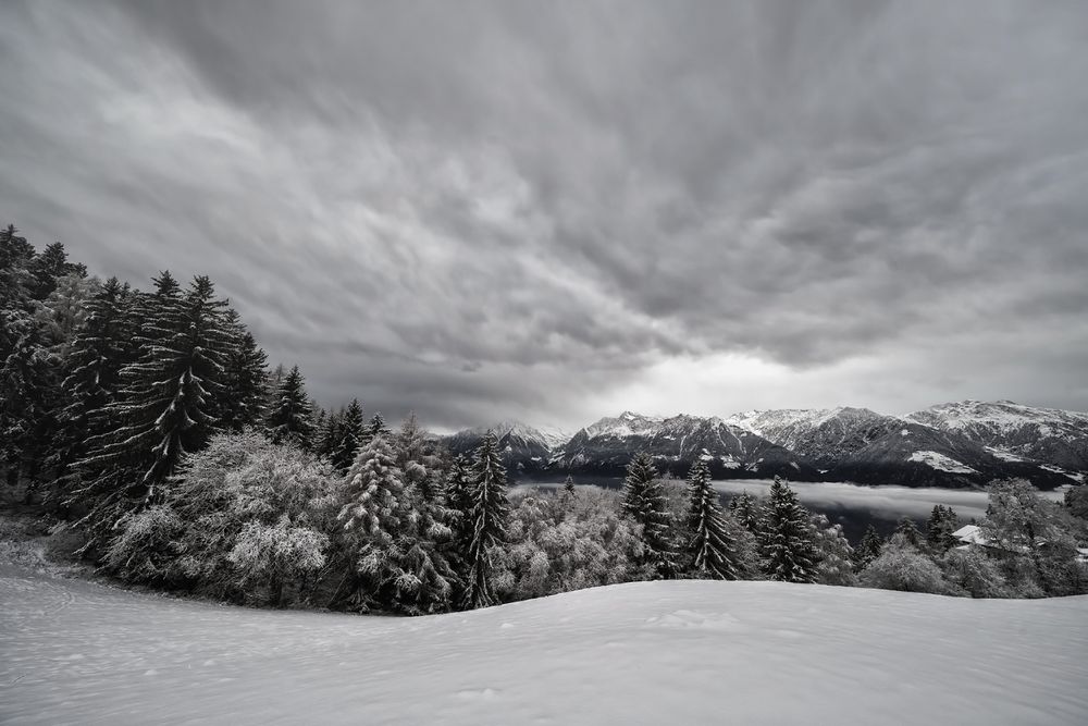 Ende Januar .... Foto & Bild | Bilder auf fotocommunity